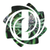Infuzed Cafe – Gourmet Goods and Drinks with a Hint of Hemp.